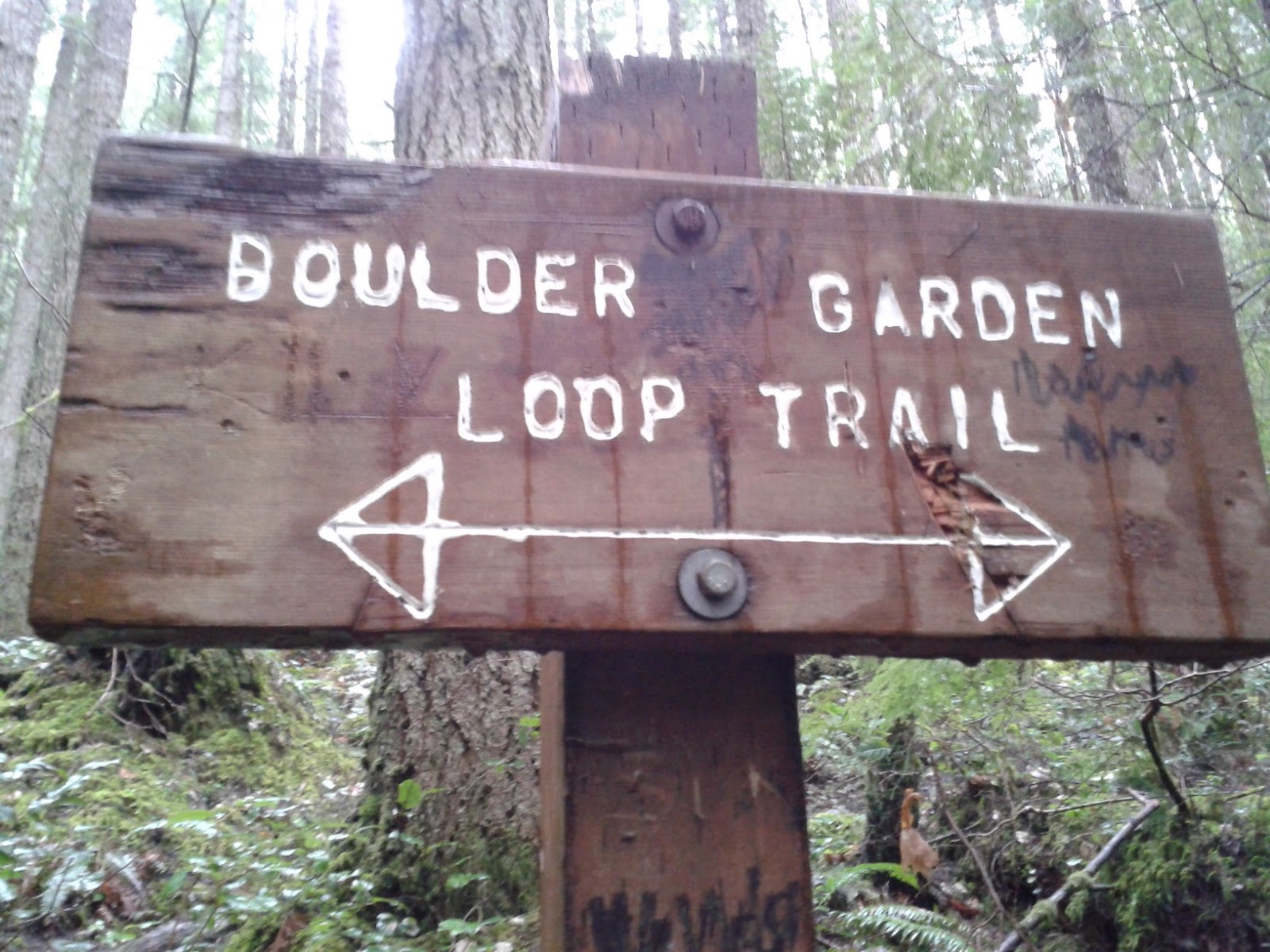 Urban Trailseeker: Hiking Trip Report: Little Si, Boulder Garden Loop