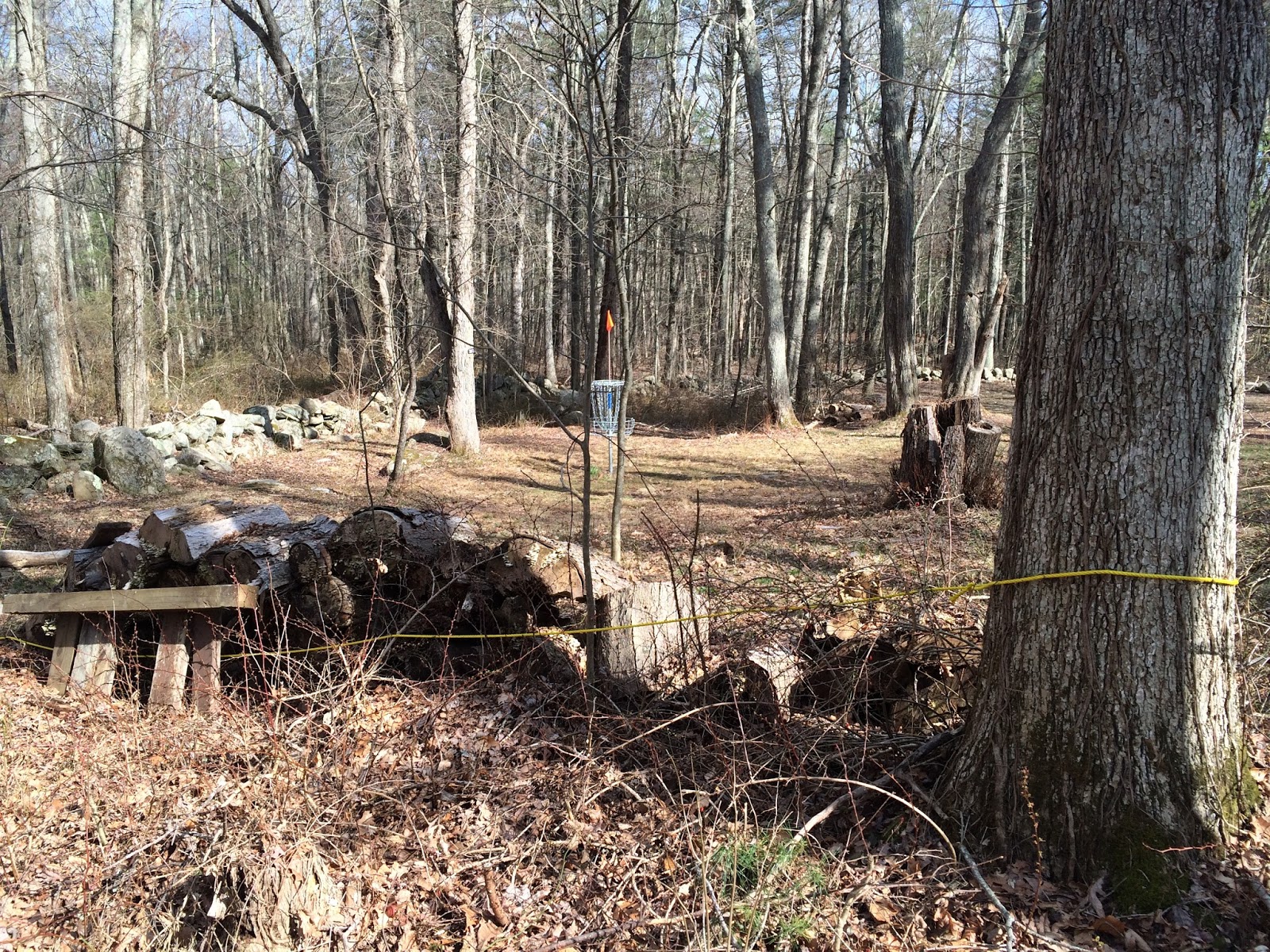 The Geology of Disc Golf: Borderlands State Park, Sharon MA