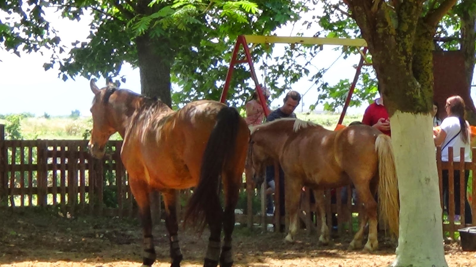 Δημιουργική Κίνηση για την Ανατροπή: ΠΑΡΟΥΣΙΑ ΤΟΥ ΔΗΜΑΡΧΟΥ ΔΟΞΑΤΟΥ ...