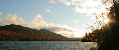 Adirondack Naturalist
