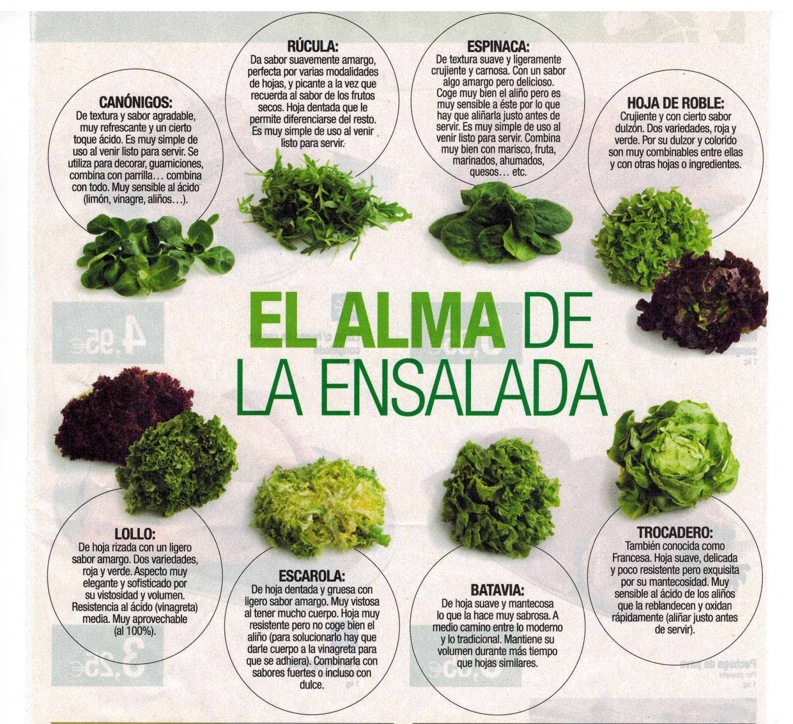 VARIEDADES DE LECHUGAS Y PROPUESTAS DE MAKRO