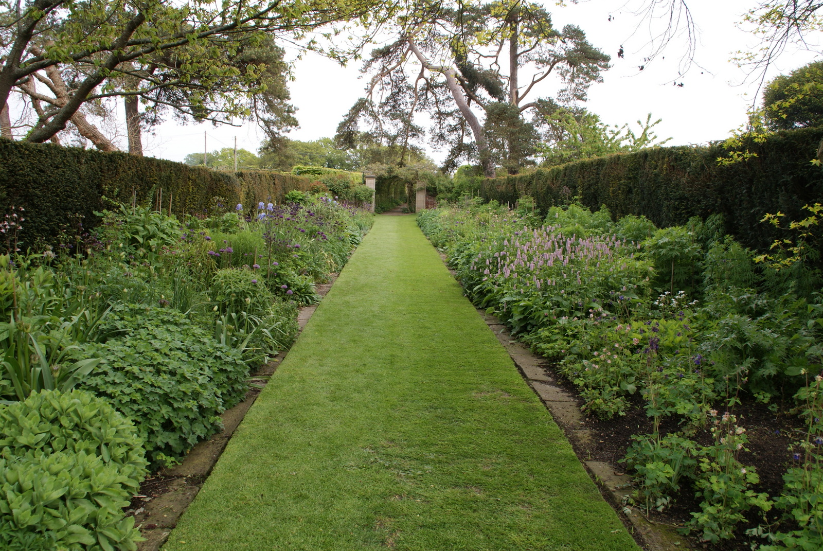 Organic Garden Dreams: The Garden at Ringmer Park, England - III