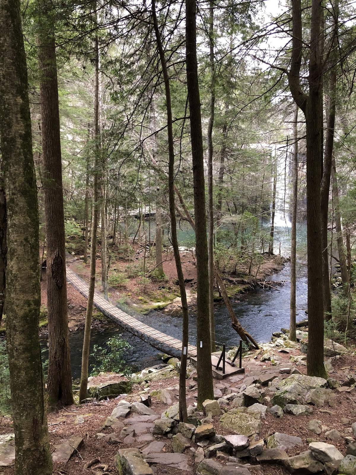 Nomadic Newfies: Foster Falls