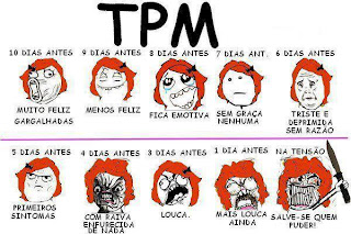 CoIsAs De AnGéLiCa: As fases da TPM