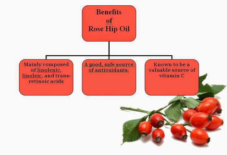 Health and Beauty: Why is rose hip oil so good for skin?