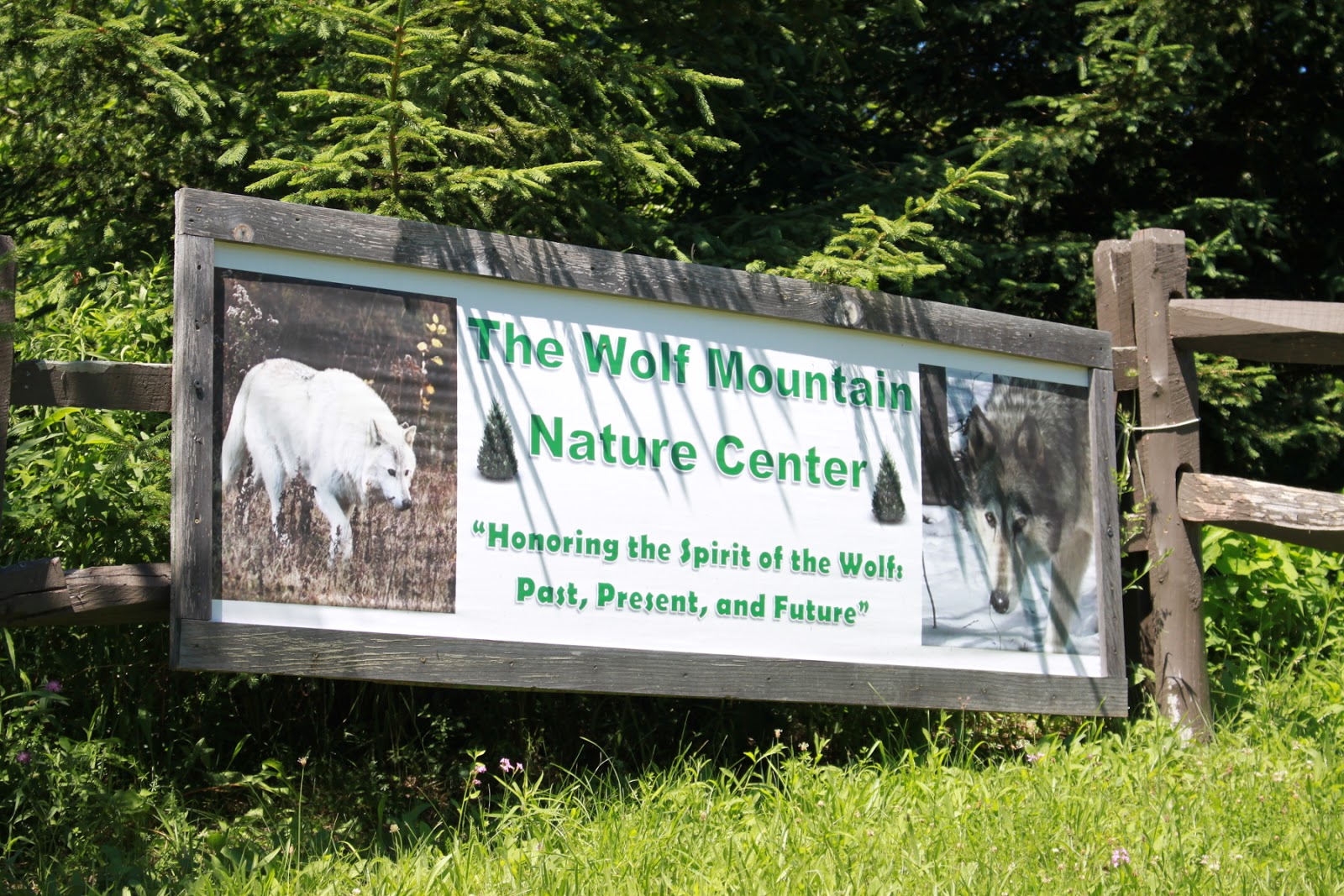 Reflections of katlupe: Visiting The Wolf Mountain Nature Center