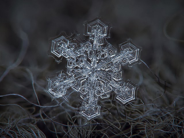 Amazing Macro Photography of Individual Snowflakes [10 pics] - Our ...