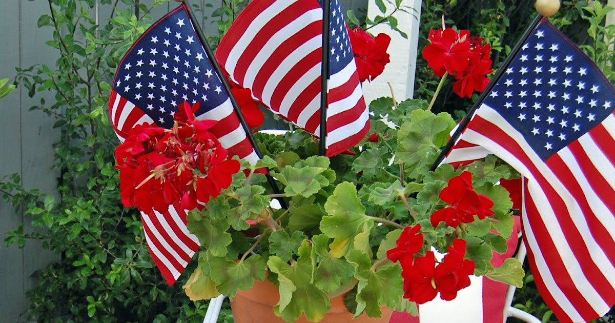 My Painted Garden: Flags In My Garden