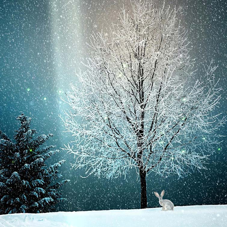 Snow Bunny Wallpaper Engine