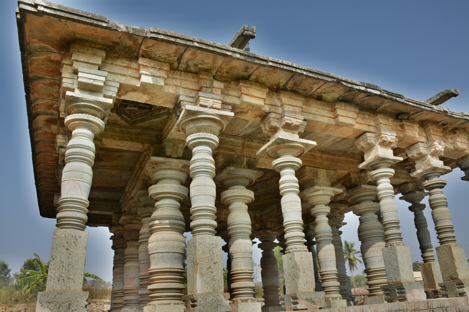 Our Travel Tales: Parshvanatha and Shantinatha Basadis, Halebidu