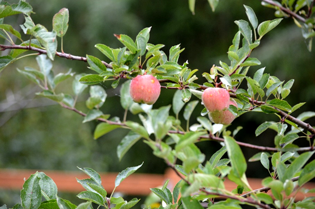 Art Threads: Friday Inspiration - Hints of Autumn