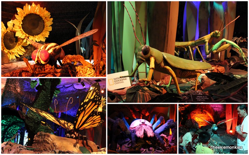 Cheekiemonkies: Singapore Parenting & Lifestyle Blog: Arise Megabugs ...