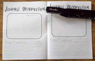 You Can Make The Sun Shine Anytime!!!: Triops Life Cycle Awesomeness ...