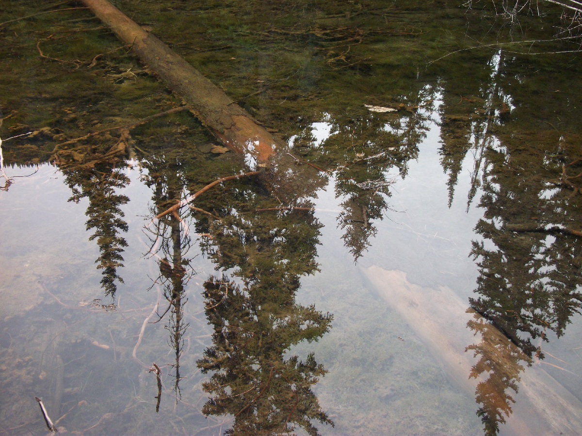 Jasmines Journeys: Wilderness Camping