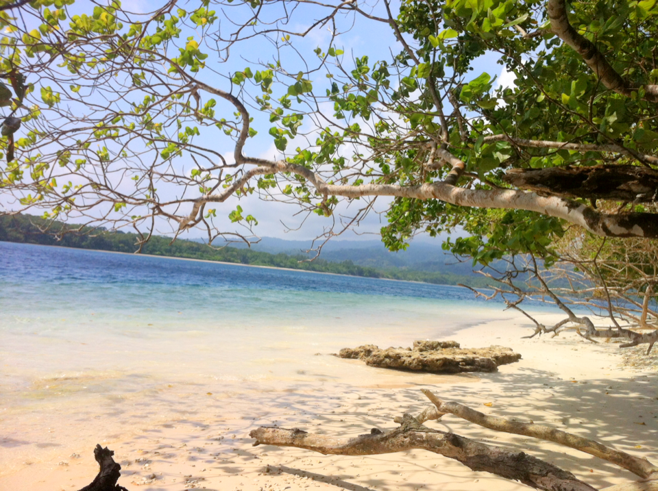 Diary of a Daydreamer: Peucang Island: Secluded Paradise in the Ujung ...