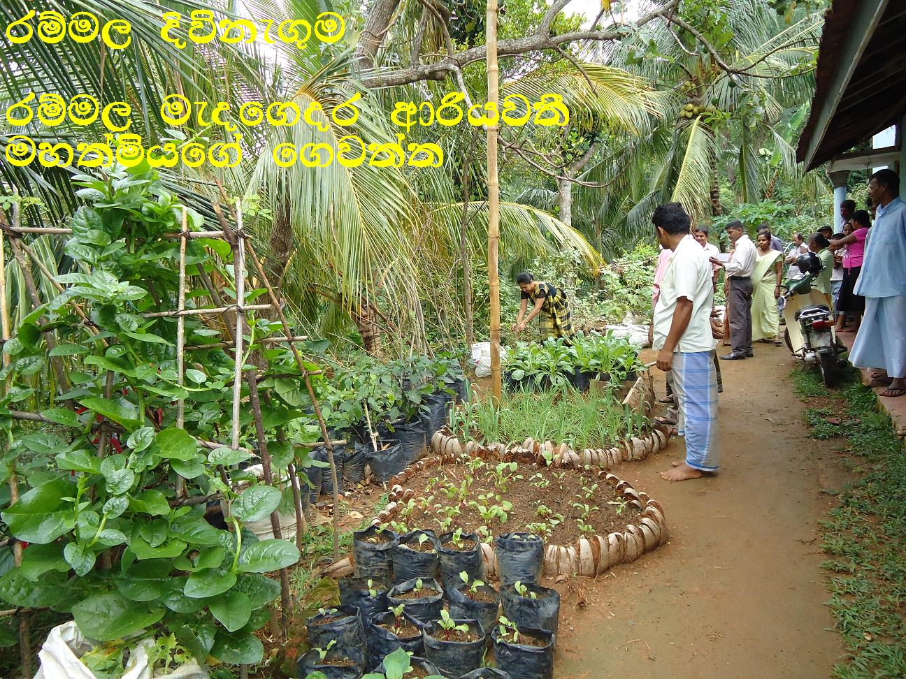 Rammala Divi Neguma: ගෙවත්තක් බලමු