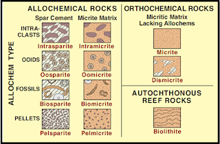 Klasifikasi Batuan Karbonat : Grabau 1904, Folk 1959, Dunham 1962, dan ...