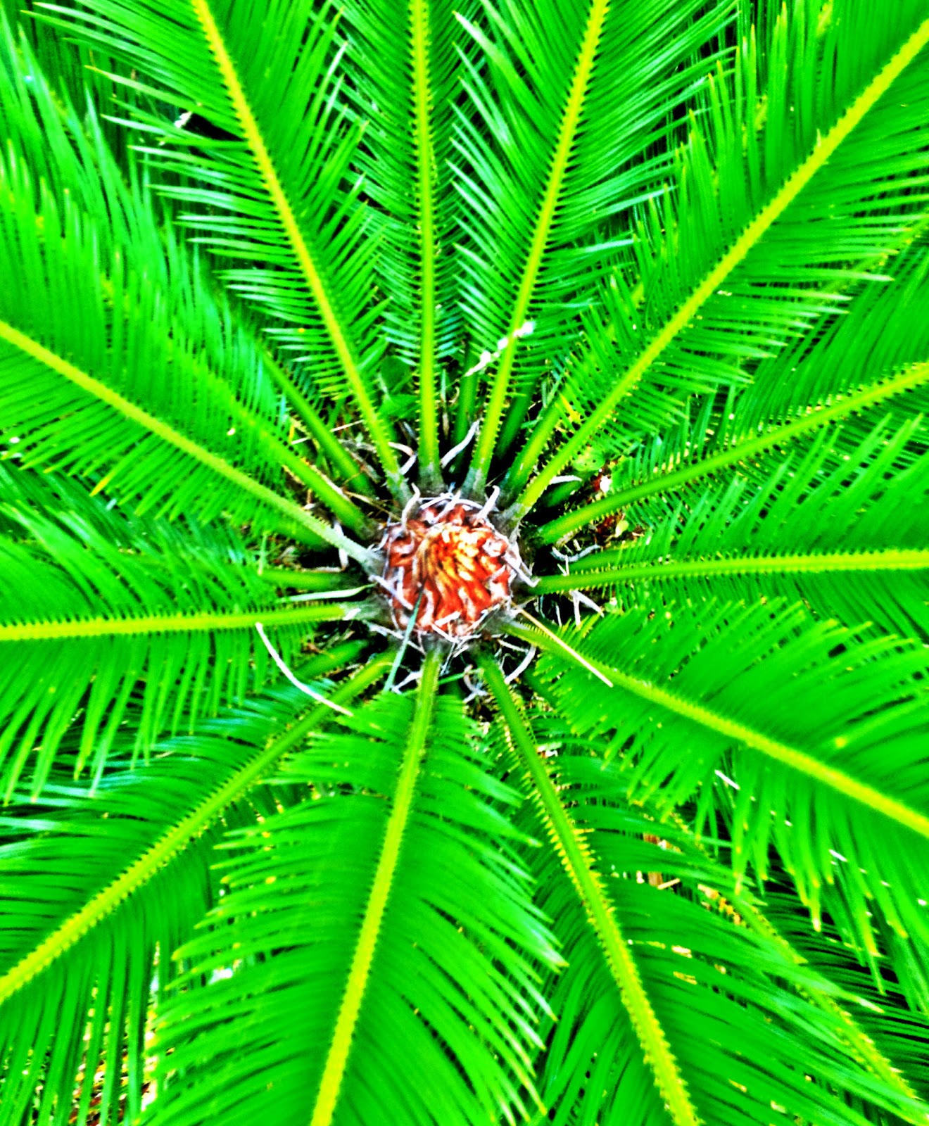 Grains of Sand: Gallery: Photography of Ariel Murphy