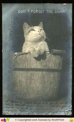 Historical Felines: Aristocat!