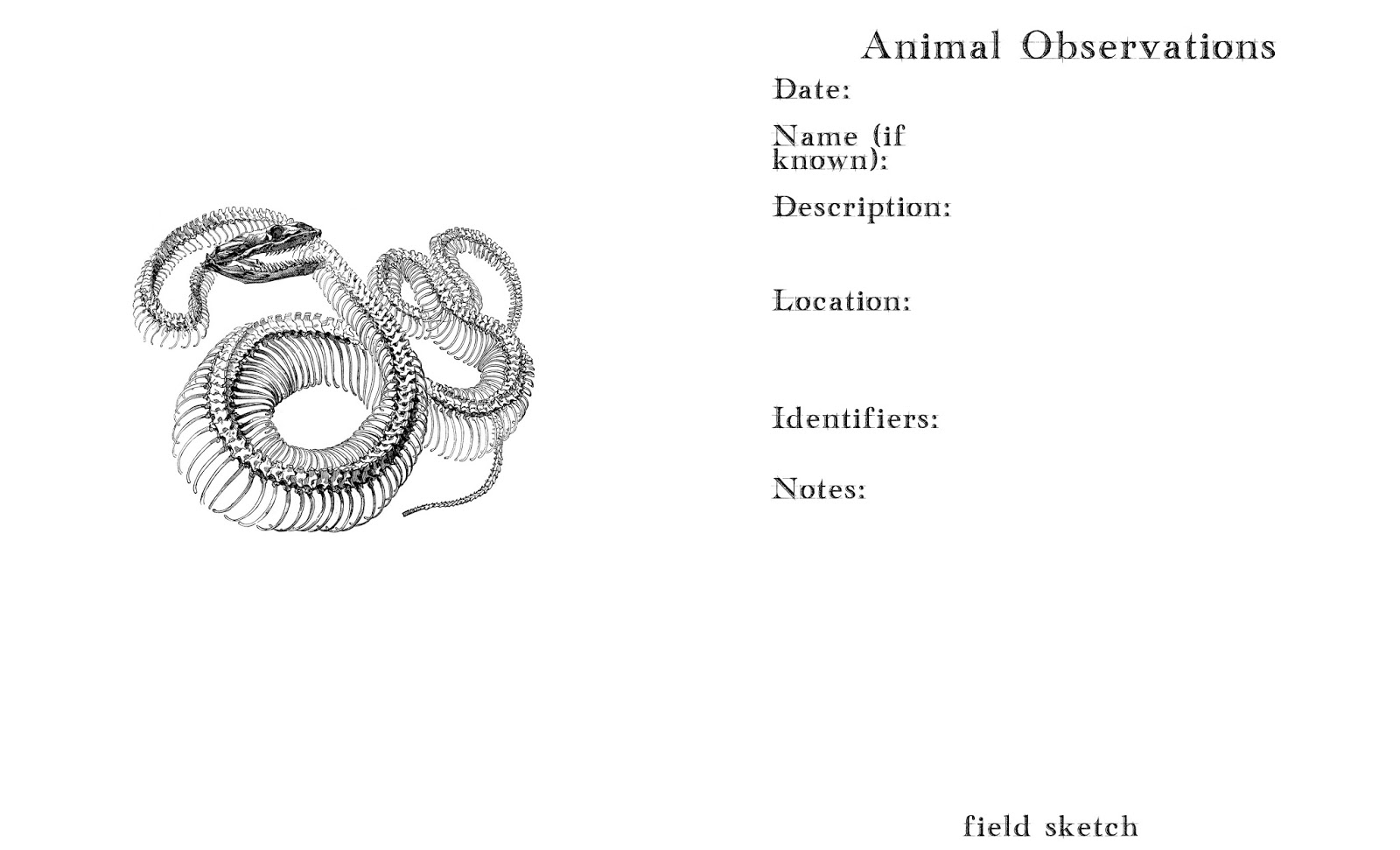 Different Dog - A Simply Beautiful Life: Wild Kratts Field Journal ...