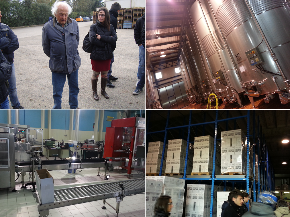 MoliSeb Wine & Food Blog: DI MAJO NORANTE: IL MOLISE DIVINO CHE FA SCUOLA