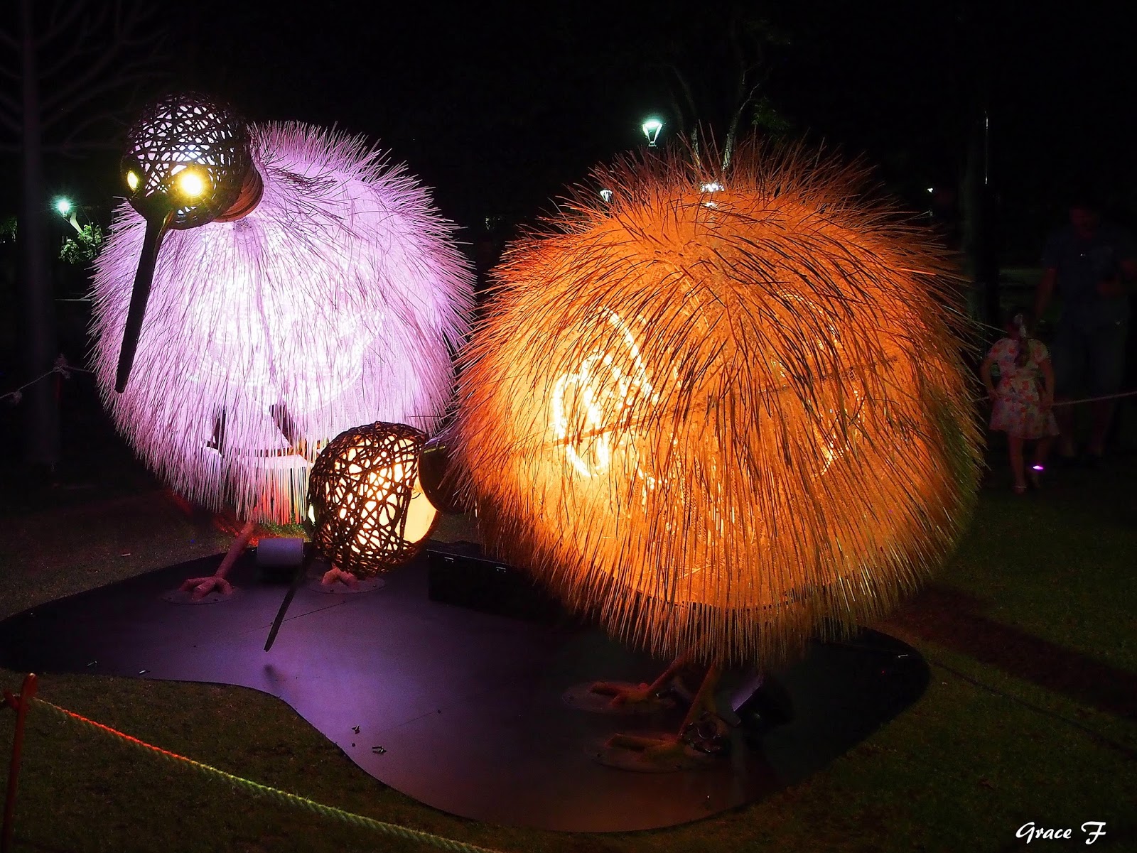 Perth Daily Photo : Kaleidoscope Festival..'Birds of Lumos'.
