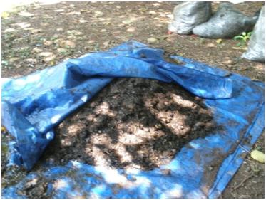 Garden Musings from Memphis Area Master Gardeners: Raised Bed Gardening ...