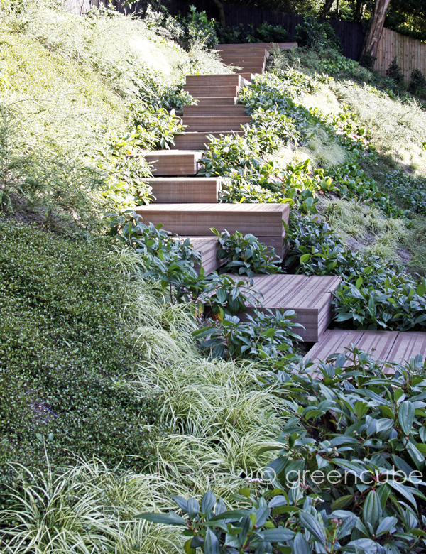 Almost Vertical Planting in Sevenoaks - Green wall Installation with ...