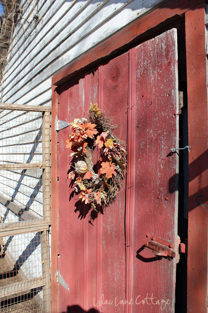 .Lilac Lane Cottage: Early February On The Farm