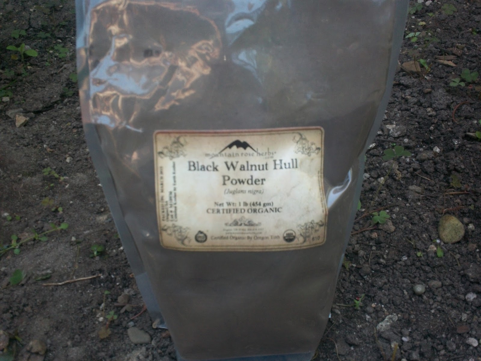 Natural health and beauty experiments + reviews: Black walnut hull ...