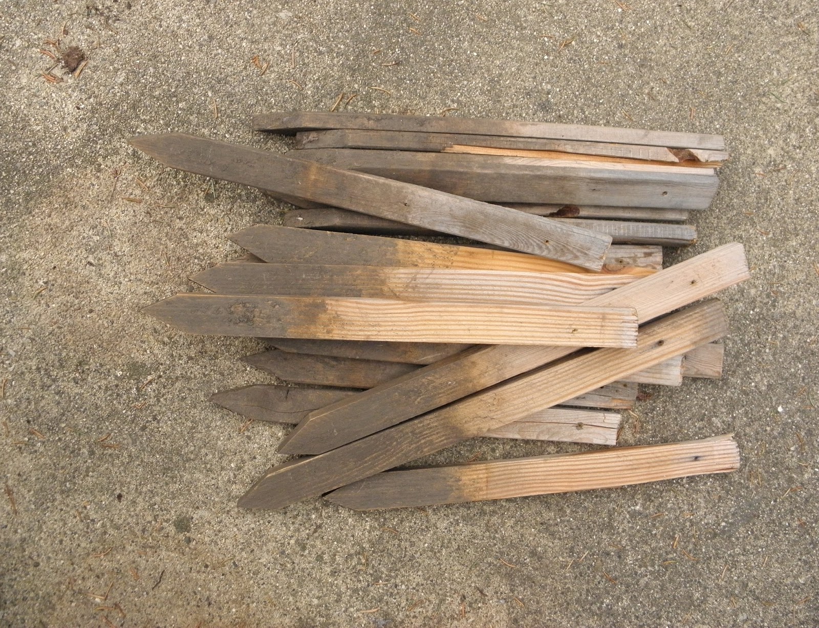 Run Ran Fam: Building an Ice Rink in the Yard