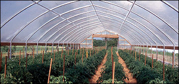 Missouri Beginning Farming: High Tunnel Installation and Production ...