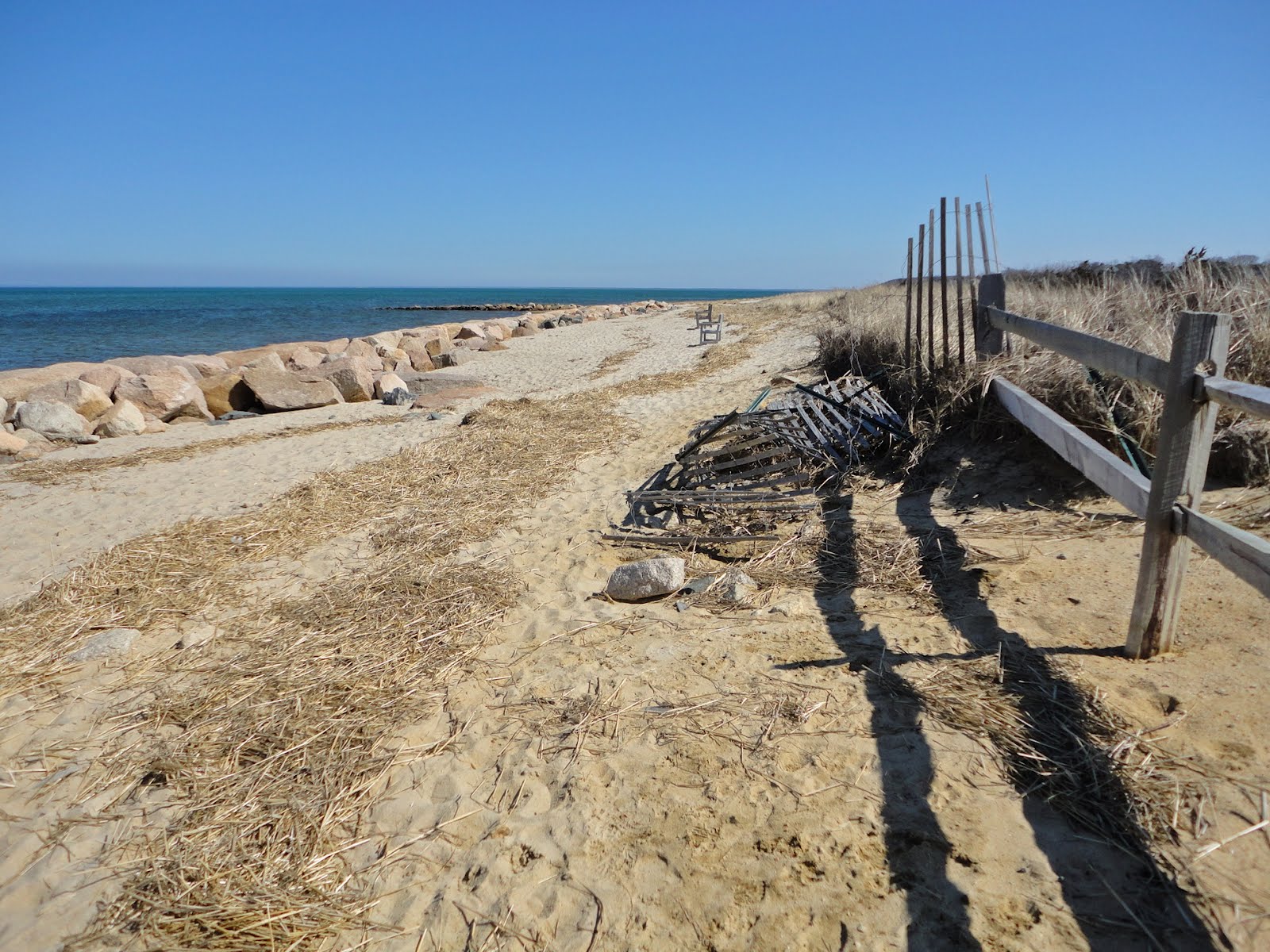 Cape Cod Washashore: Cape Cod Bay in the Spring