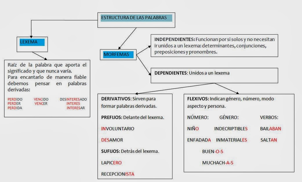 Lengua castellana 2ºESO: ESTRUCTURA DE LAS PALABRAS