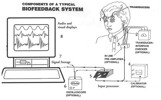 State of Mind: Biofeedback At A Glance