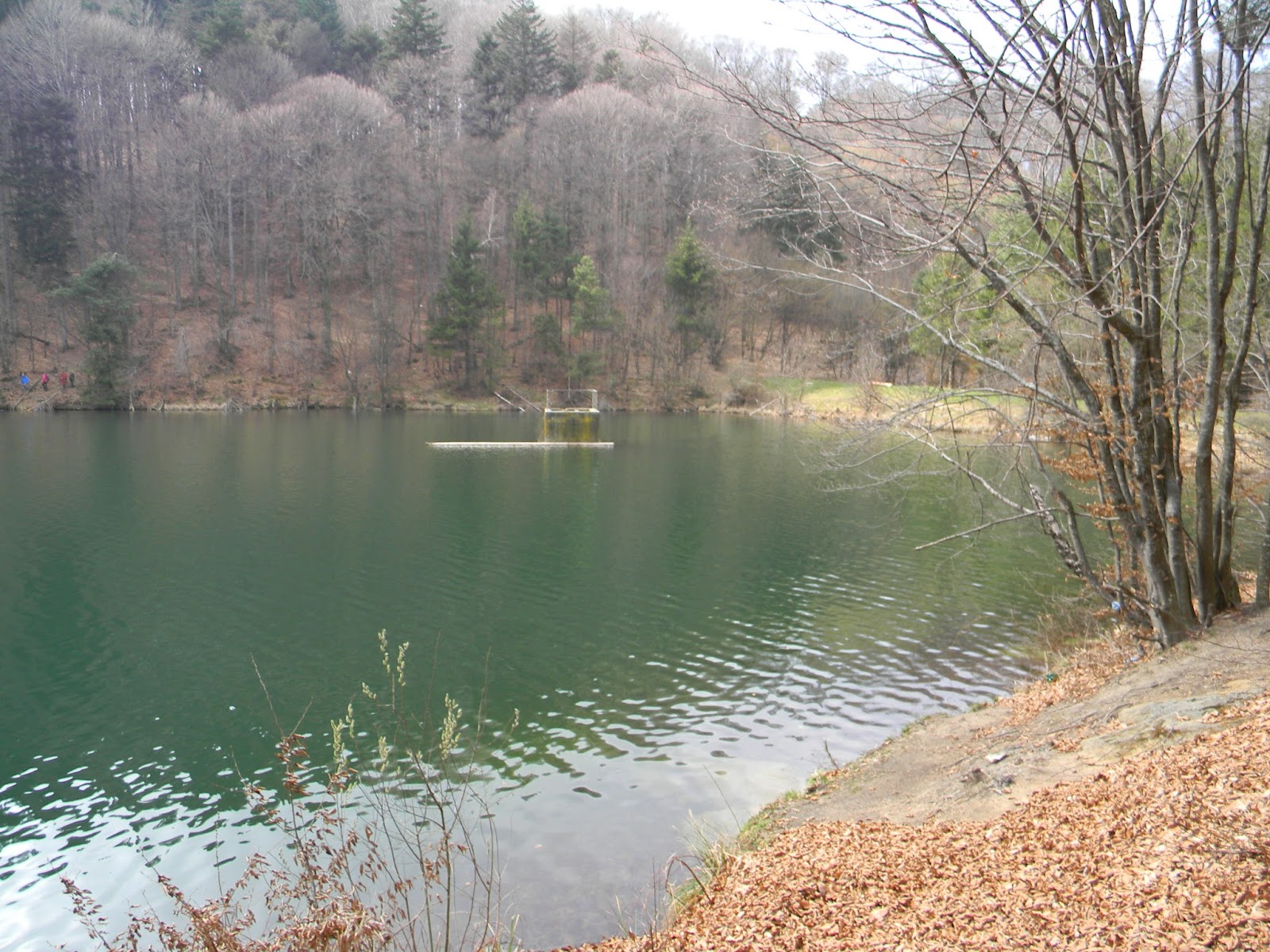 Blog de Calatorii si Drumetii Montane.: Lacul de la Codlea ,jud.Brasov ...