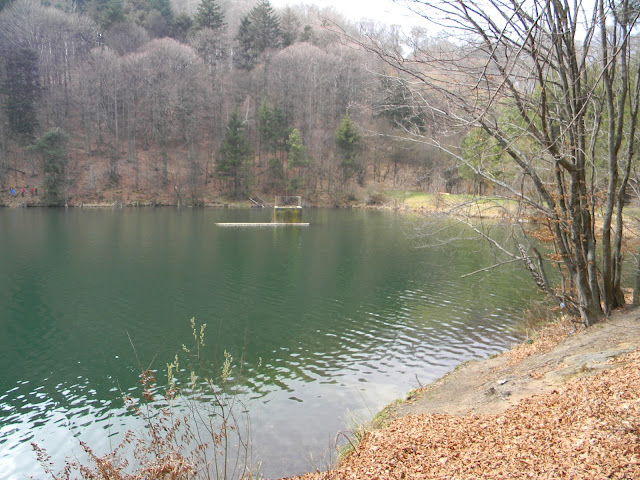 Blog de Calatorii si Drumetii Montane.: Lacul de la Codlea ,jud.Brasov ...
