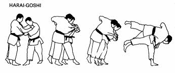 BUDO TOLEDO: KOSHI WAZA: TÉCNICAS DE CADERA