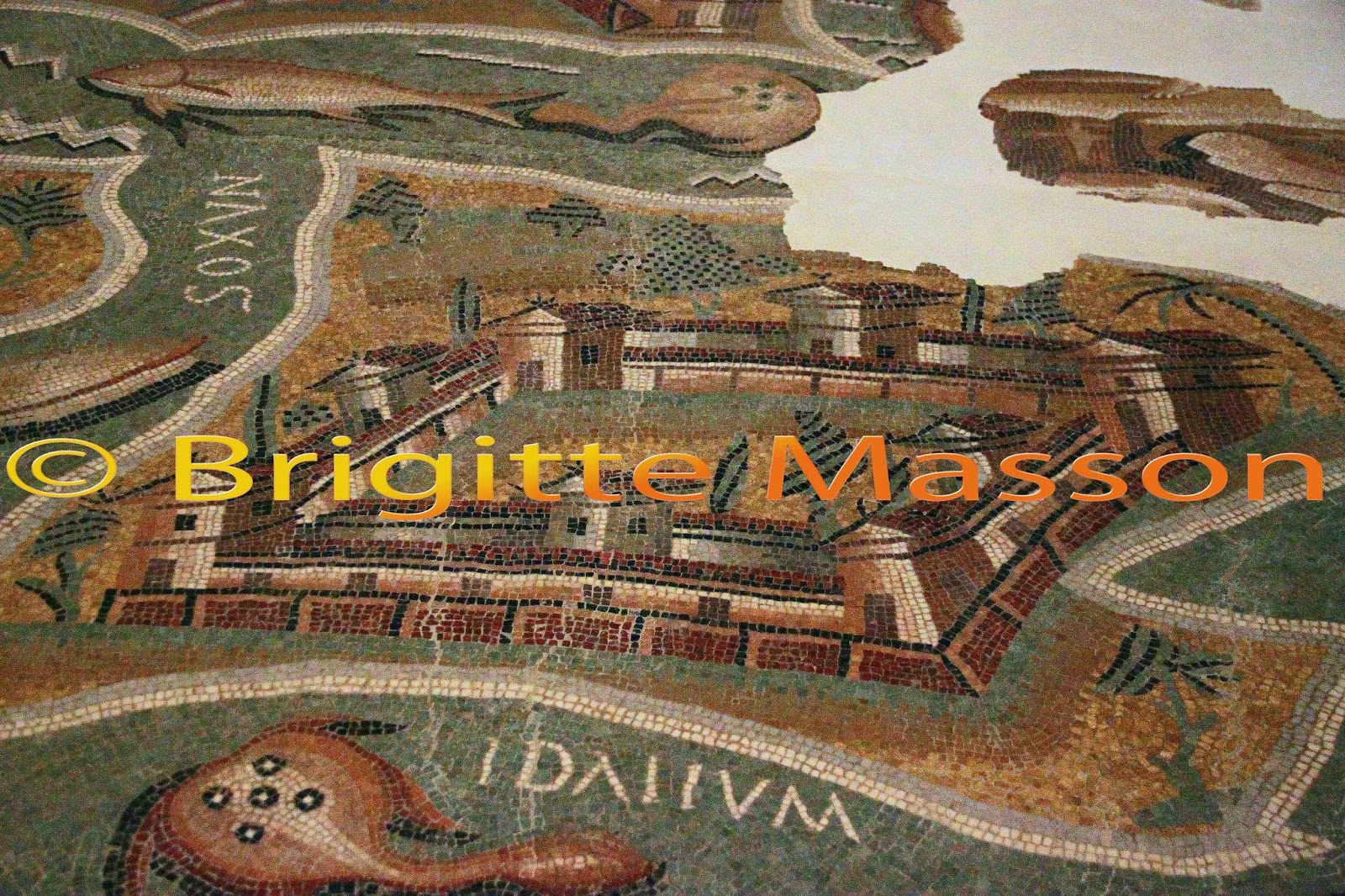 Le blog de B. Masson: Arles - Musée bleu (Arles antique)- La mosaïque ...