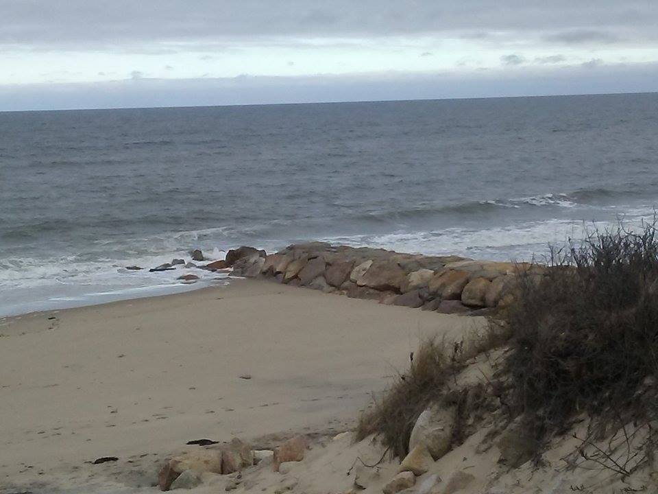 Cranberry County Magazine: Right Whales Moving Into Cape Cod Bay