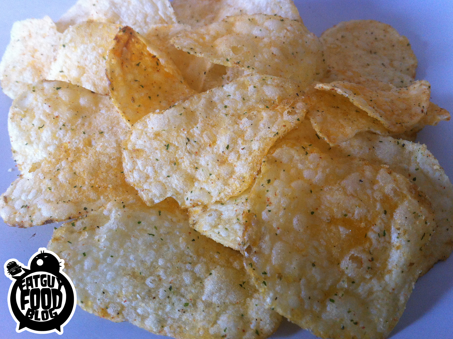 FATGUYFOODBLOG: Classic BLT Lays!