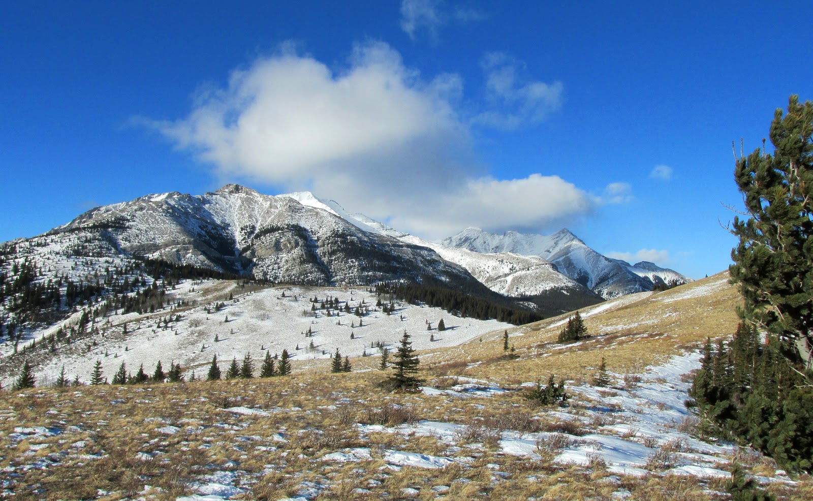 The Passionate Hiker: The Highwood Hills