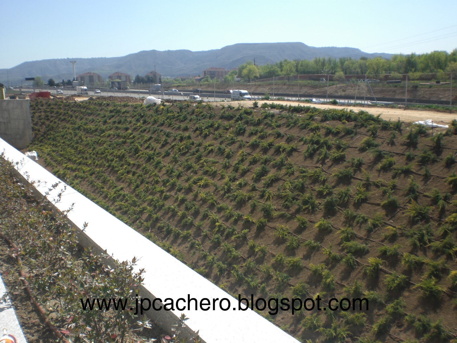 @ JuanPCachero Blog: !!! INSECTICIDAS ECOLÓGICOS...PREPARACIÓN Y ...