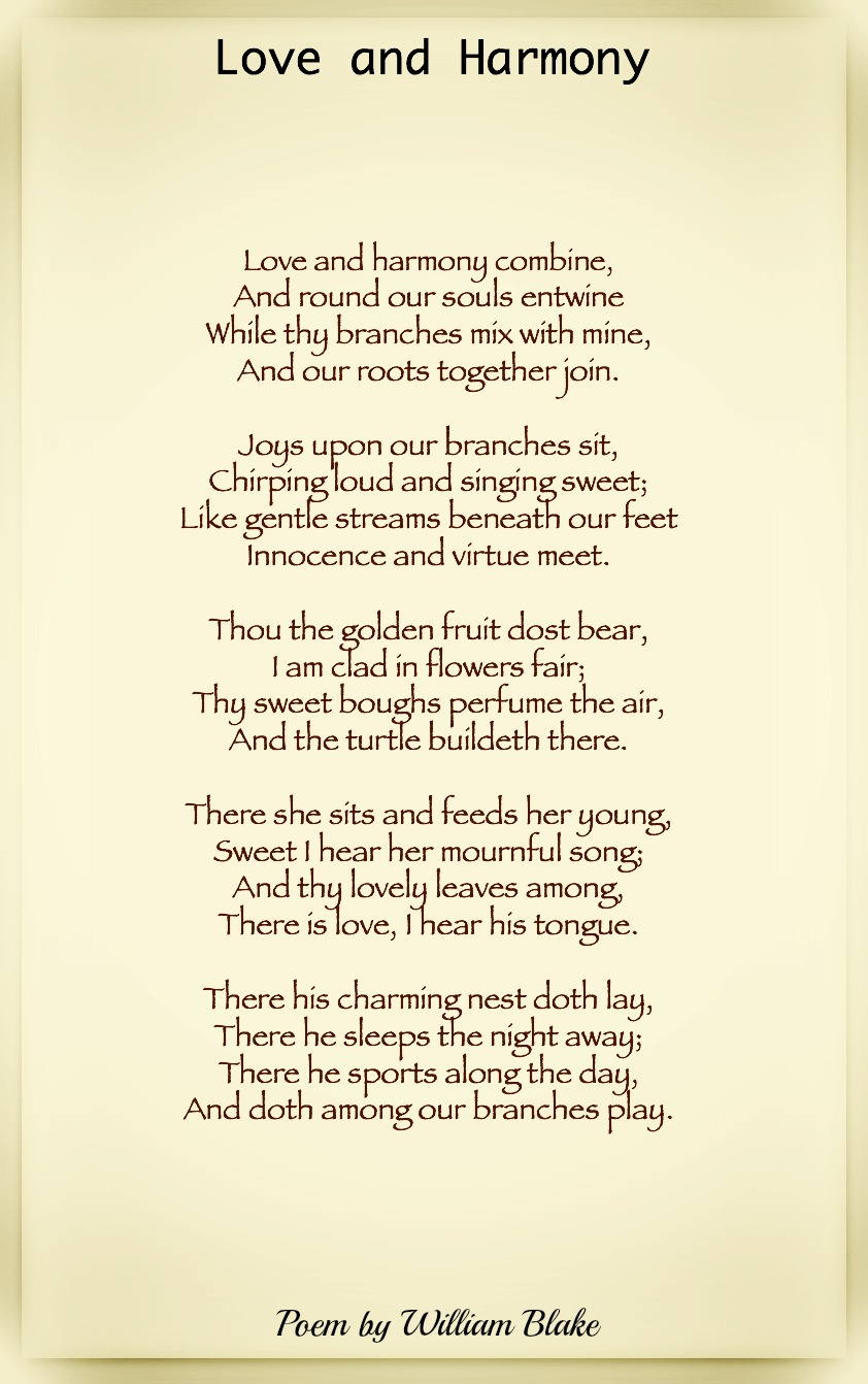 O.X.I.D.E : บทสรุป Devil May Cry V