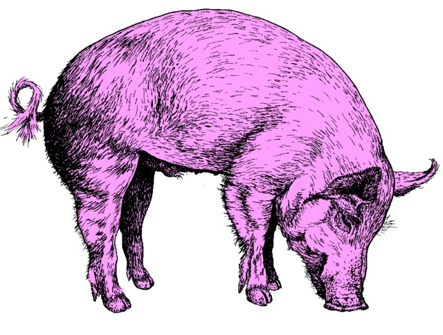 Mr B finds Pamela writing: December 2011