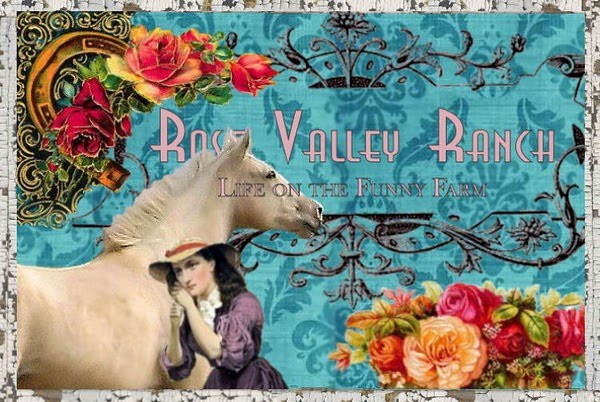 Rose Valley Ranch: A Few Things