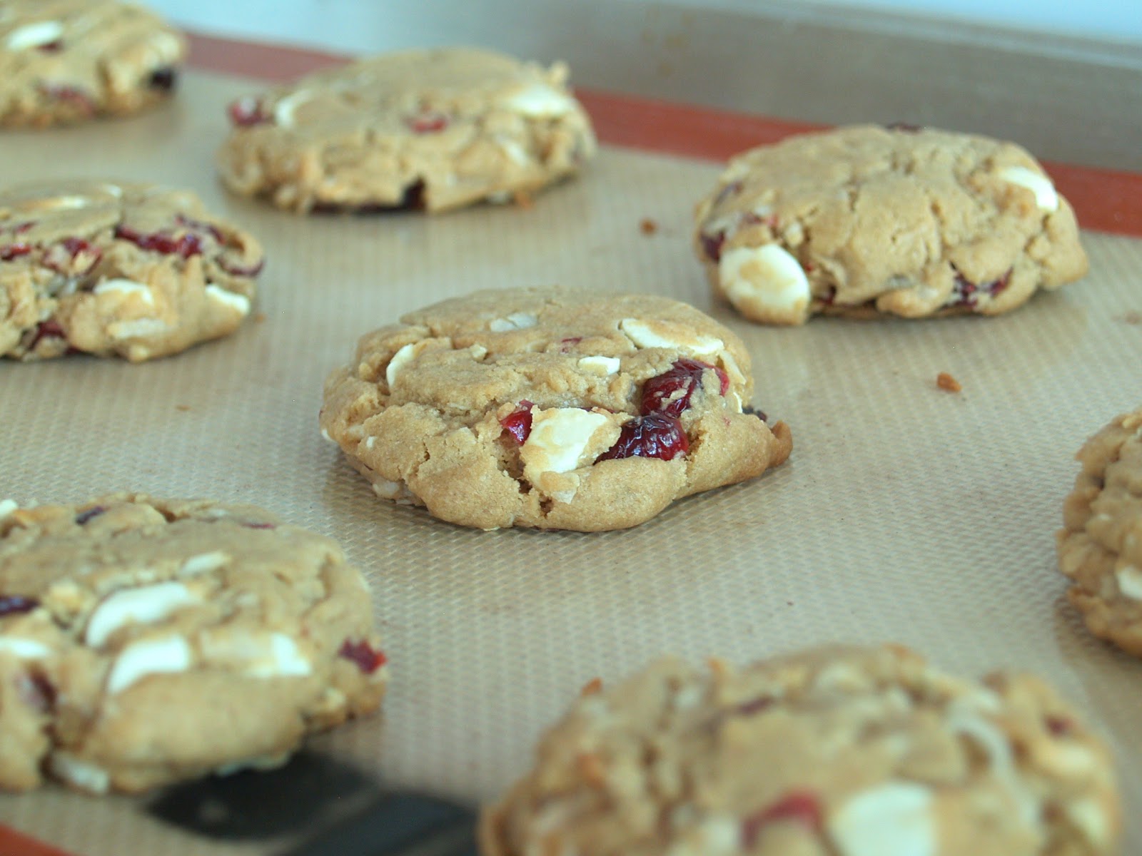 Hungry Hungry Highness: Cranberry White Chocolate Chip Cookies