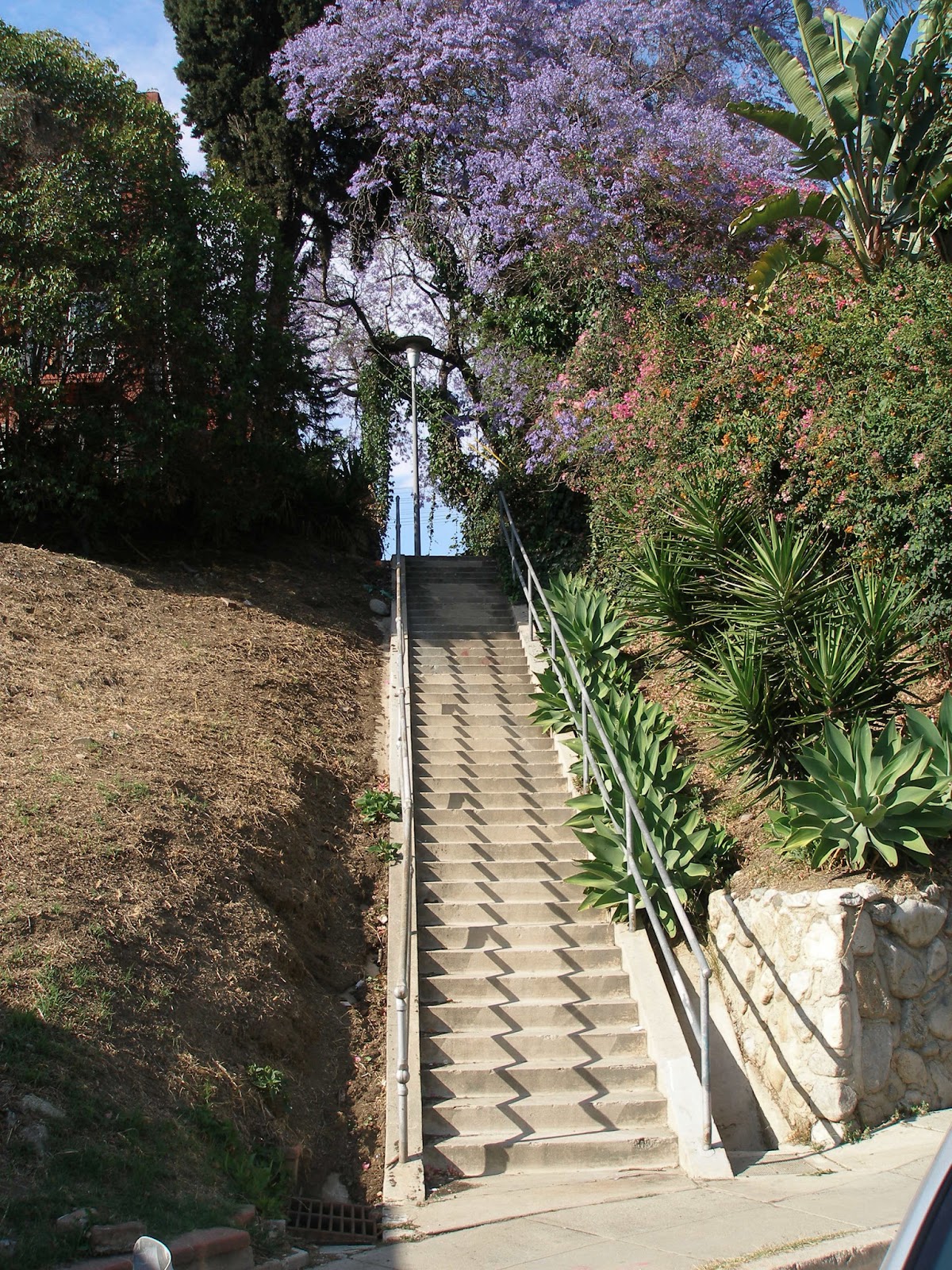 Los Angeles: Climbing the Hidden Stairways: Staircases in Echo Park