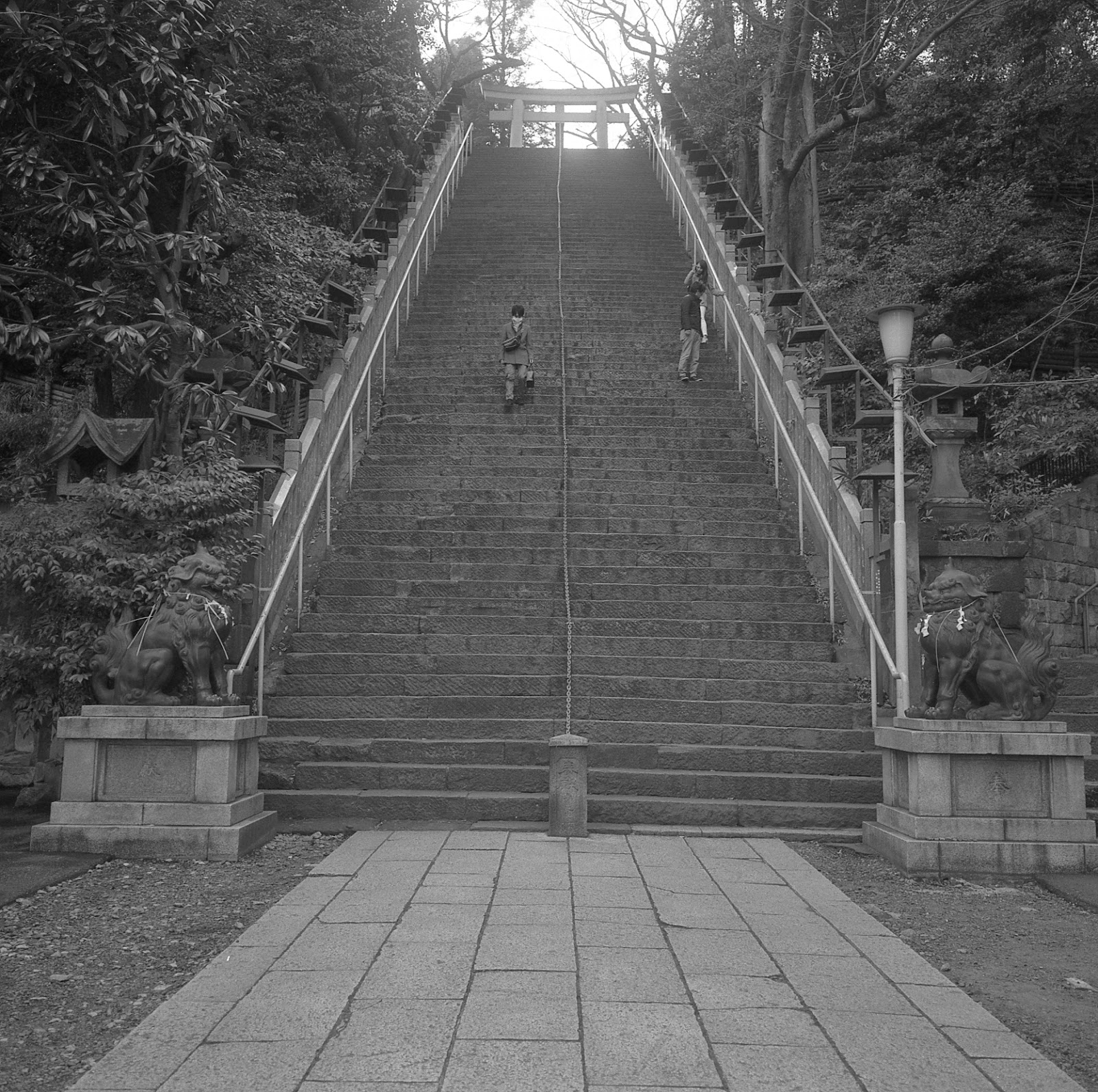 銀塩回帰 ~ Silver-Halide-Camera