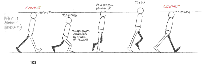 Rebecca Meilak: Animation Portfolio: Walk Cycles: Week 4